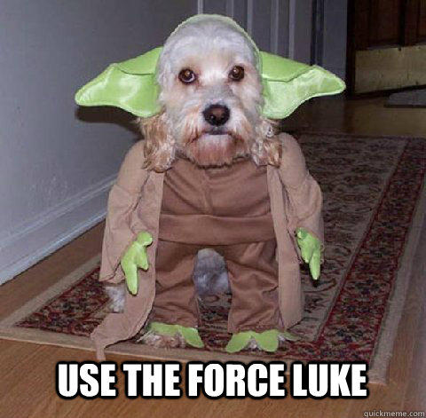use the force luke - yoda dog - quickmeme
