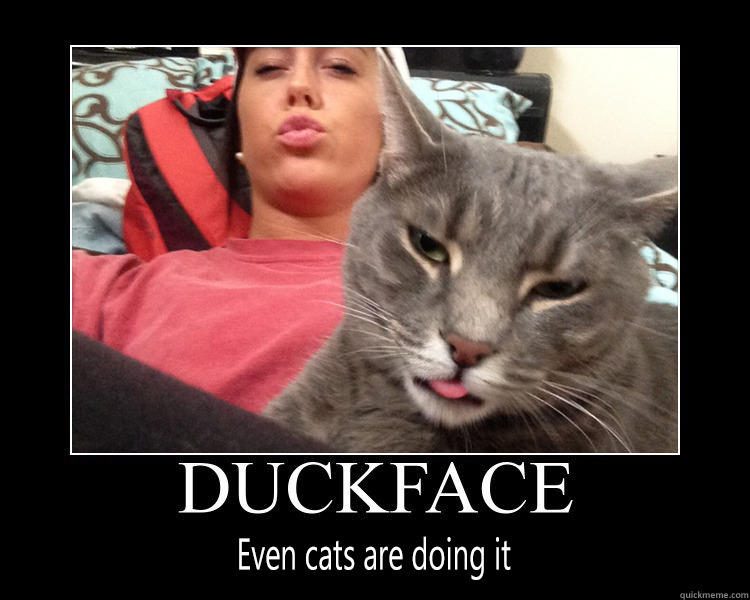 DUCKFACE CAT MEME - quickmeme