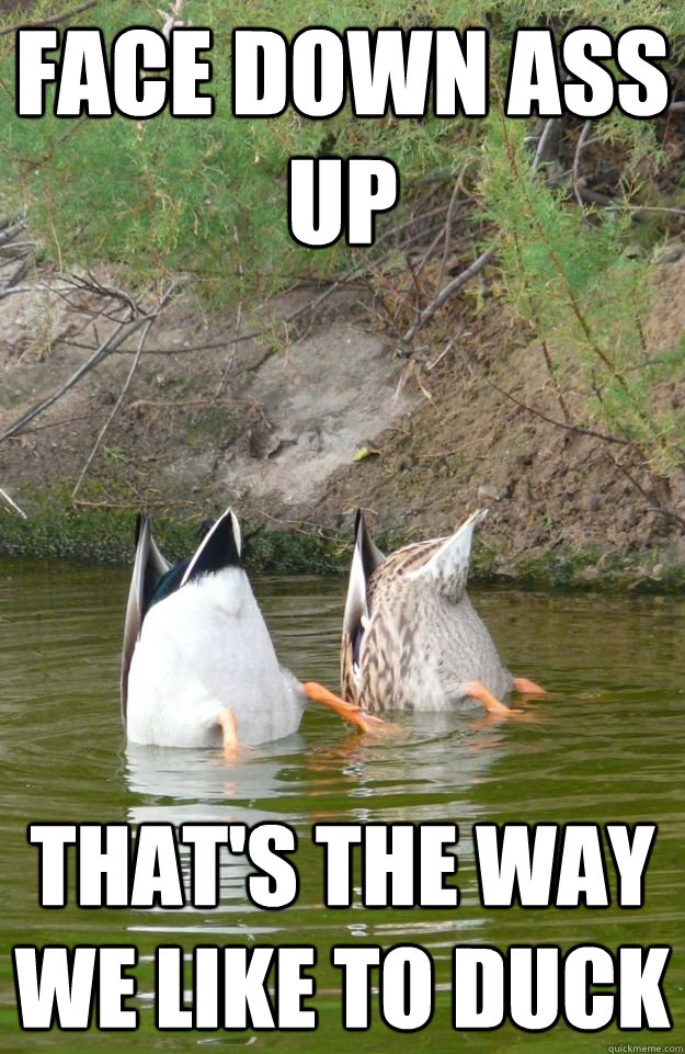 Face down ass up That's the way we like to duck - 2-Live Duck - quickmeme
