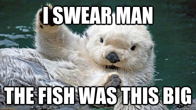I swear Man The fish was this big - Lying Otter - quickmeme