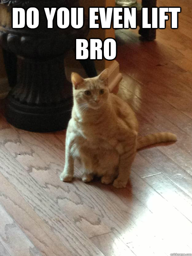 Do you even lift bro - Misc - quickmeme