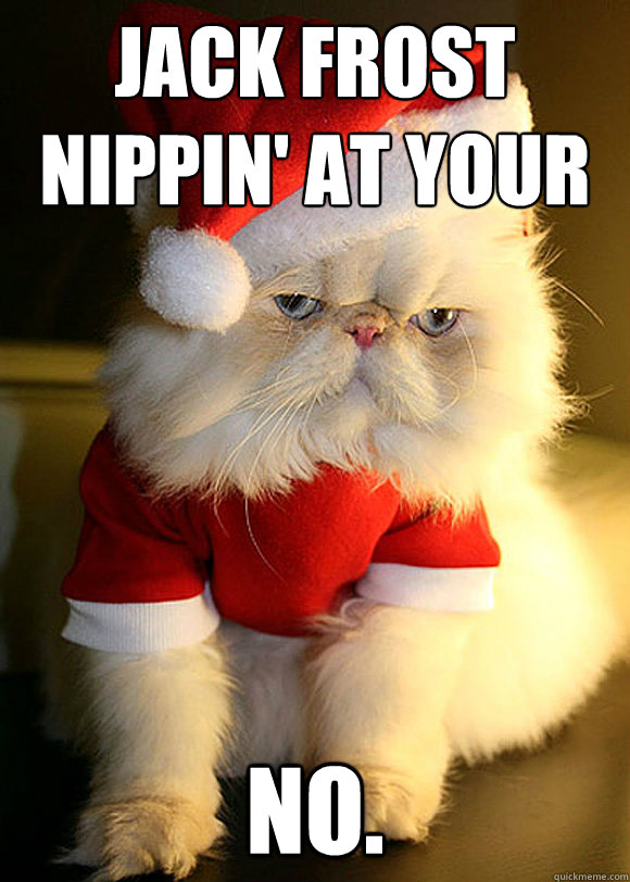 Jack Frost nippin' at your No. - Misc - quickmeme