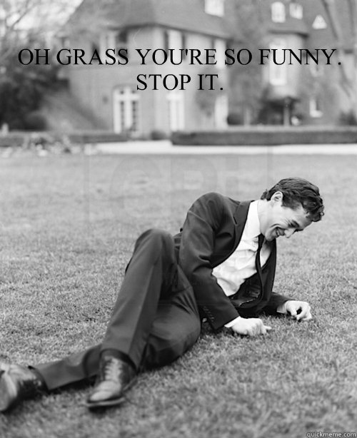 OH GRASS YOU'RE SO FUNNY. STOP IT. - JGL Grass - quickmeme
