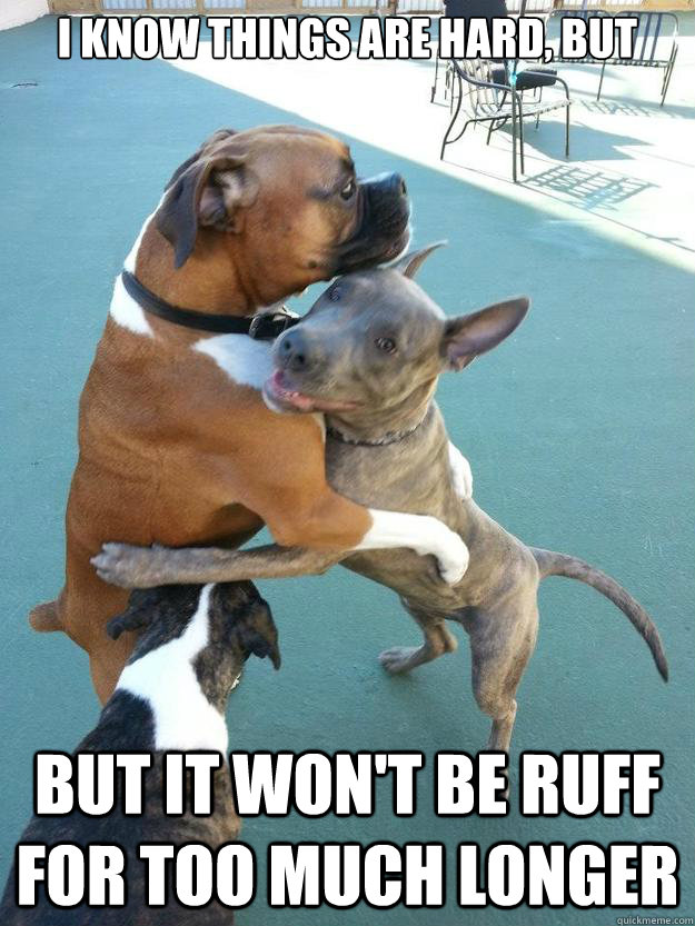 I know things are hard, but but it won't be ruff for too much longer - Misc - quickmeme