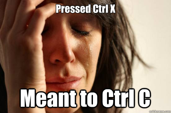 Pressed Ctrl X Meant to Ctrl C - First World Problems - quickmeme