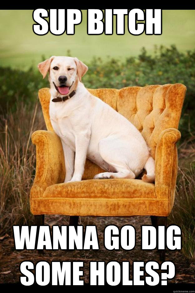 Sup bitch wanna go dig some holes? - Misc - quickmeme