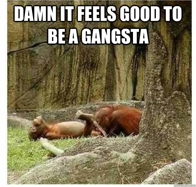 Damn it feels good to be a gangsta - Gangster oragantaun - quickmeme