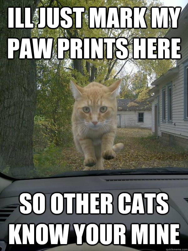 ill just mark my paw prints here so other cats know your mine - Misc - quickmeme