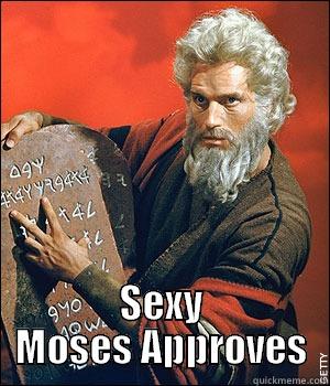 Sexy Moses Approves - quickmeme