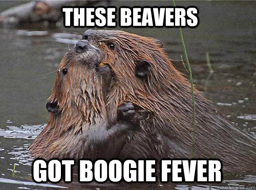 These Beavers Got Boogie Fever - Beaver be Beavers - quickmeme