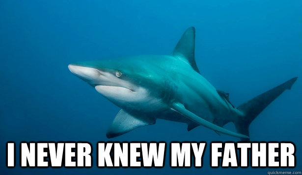 I NEVER KNEW MY FATHER - Misc - quickmeme