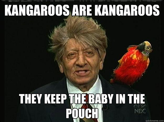 Kangaroos are Kangaroos They keep the baby in the pouch - Sam Mildener - quickmeme