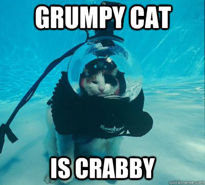 Grumpy cat Is crabby - Misc - quickmeme