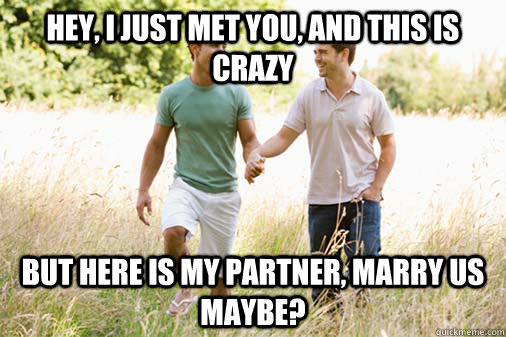 Hey, I just met you, and this is crazy But here is my partner, marry us ...