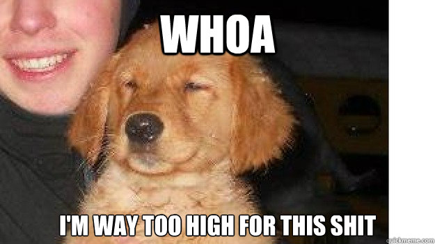 Whoa I'm way too high for this shit - Vinnies Stoned Dog - quickmeme
