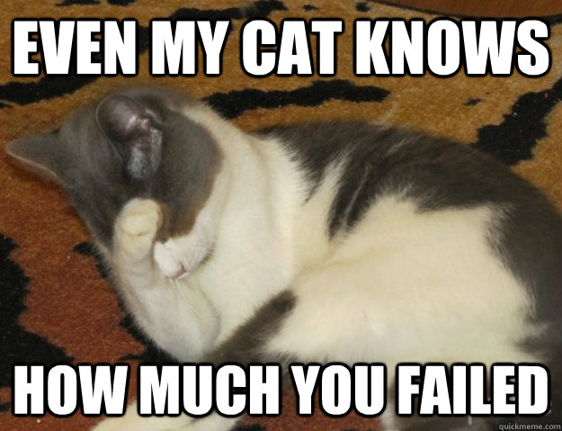 Even my cat knows how much you failed - Facepalmcat - quickmeme