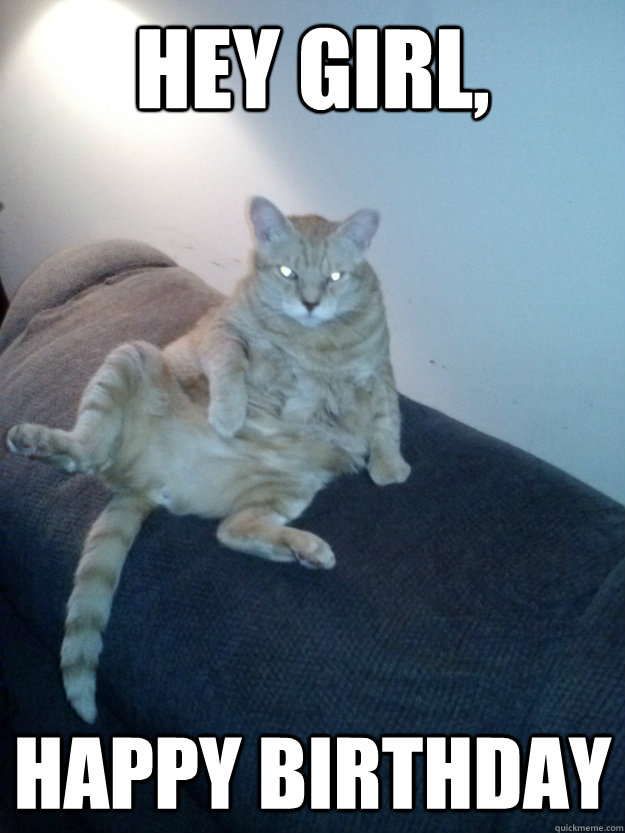 Hey Girl, Happy birthday - Casanova Cat - quickmeme