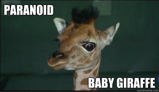 Paranoid Baby Giraffe memes | quickmeme