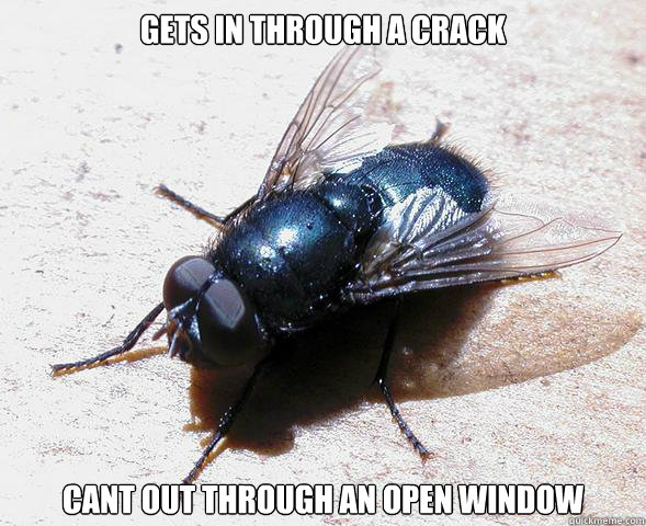 gets in through a crack cant out through an open window - Misc - quickmeme
