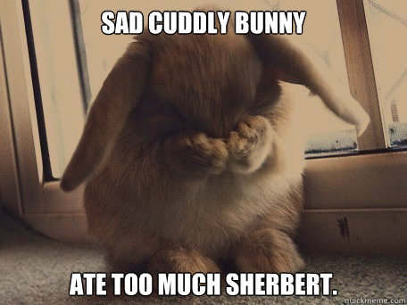 I'm sorry morris :( - Sad Cuddly Bunny - quickmeme