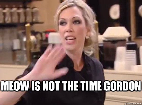 Meow is not the time Gordon - Misc - quickmeme