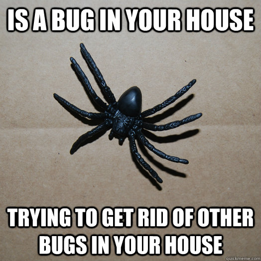 Is a bug in your house trying to get rid of other bugs in your house - Misc - quickmeme