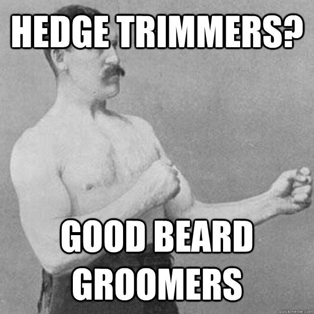 Hedge Trimmers? Good beard groomers - Misc - quickmeme