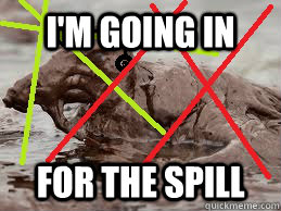 Rave Bird memes | quickmeme