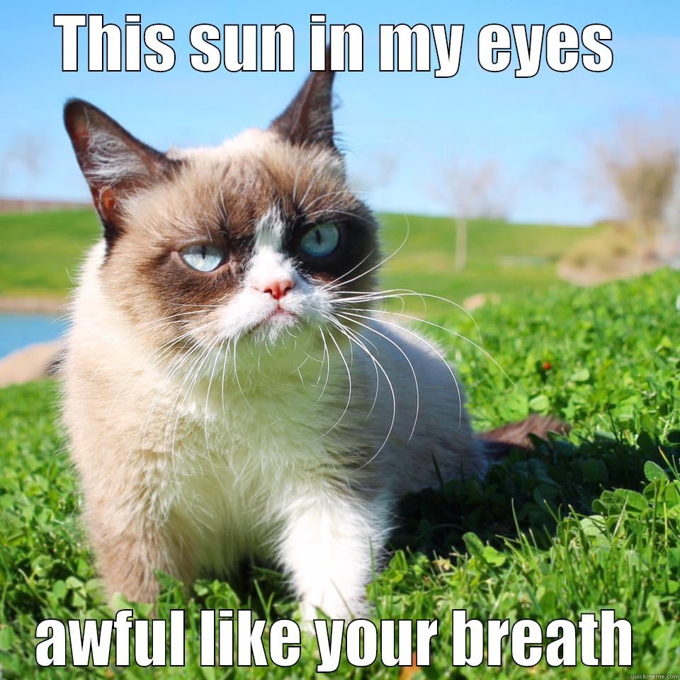 Sunshine sucks - quickmeme