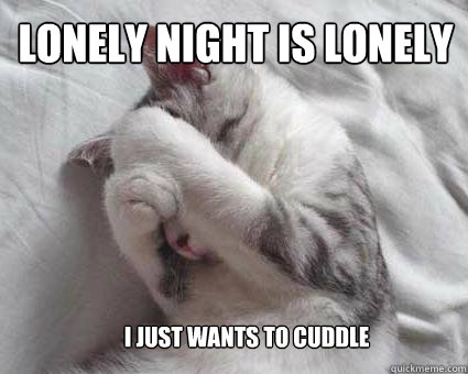 Sad Kitty memes | quickmeme