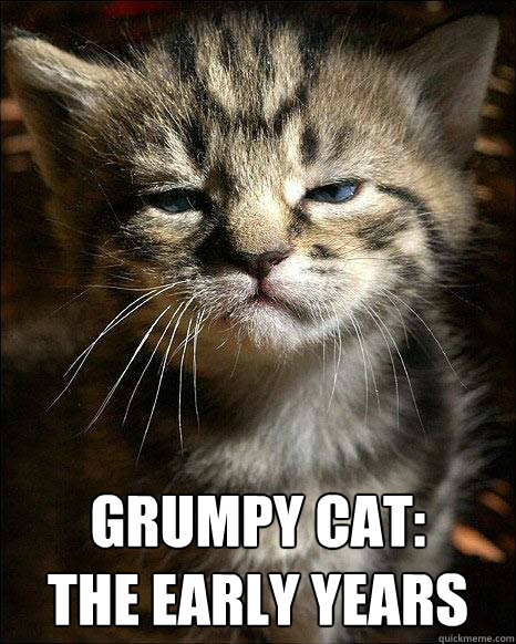 Grumpy Cat: The Early Years - Misc - quickmeme