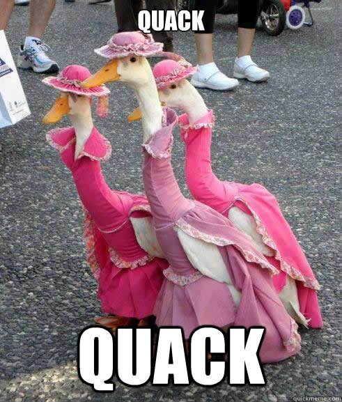 Quack Quack - Fancy Ducks - quickmeme