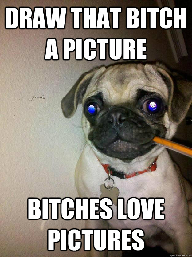 Draw that bitch a picture Bitches love pictures - Misc - quickmeme