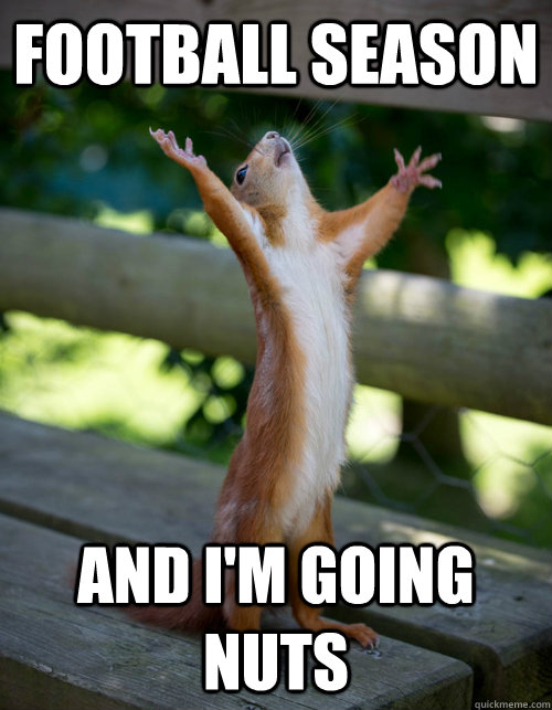 It's Friday and i'm going nuts - Nut-Crazed Happy Squirrel - quickmeme