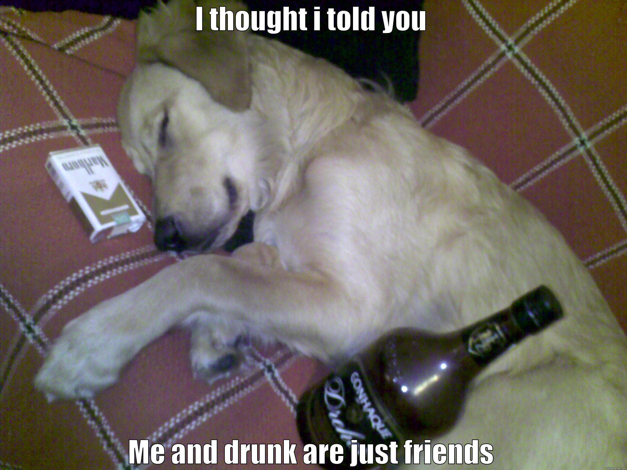 Drunk Puppies Meme