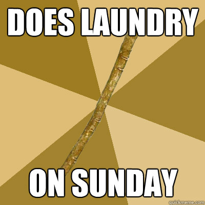 does laundry on sunday - Boring Stick - quickmeme