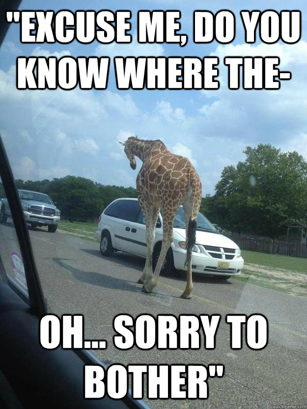 "Excuse me, do you know where the- Oh... Sorry to bother" - Questioning Giraffe - quickmeme