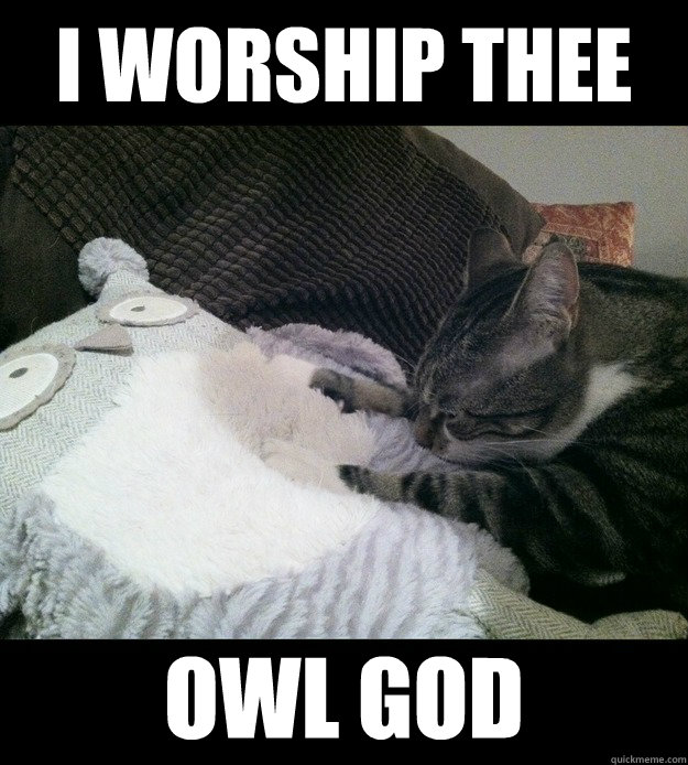 I WORSHIP THEE OWL GOD - Owl god - quickmeme