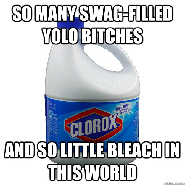 So many swag-filled yolo bitches and so little bleach in this world - Misc - quickmeme