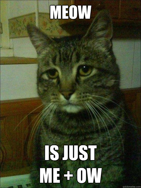 MEOW IS JUST ME + OW - Misc - quickmeme
