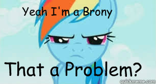 Yeah I'm a Brony Got a problem with that? That a Problem? - BronyDash - quickmeme