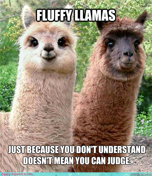 fluffy llamas just because you don't understand doesn't mean you can judge. - Misc - quickmeme