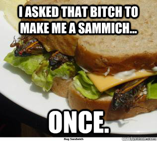 I asked that bitch to make me a sammich... Once. - roachsammich - quickmeme