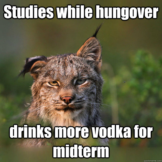 Studies while hungover drinks more vodka for midterm - bad hangover Cat - quickmeme