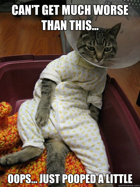 Can't get much worse than this... Oops... just pooped a little - Rock-bottom Cat - quickmeme
