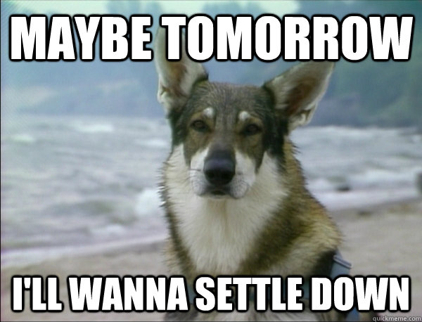 maybe tomorrow i'll wanna settle down - Misc - quickmeme