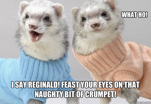 What ho! I say Reginald! Feast your eyes on that naughty bit of crumpet! - British Ferrets ...