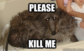 Kill Me - Misc - quickmeme