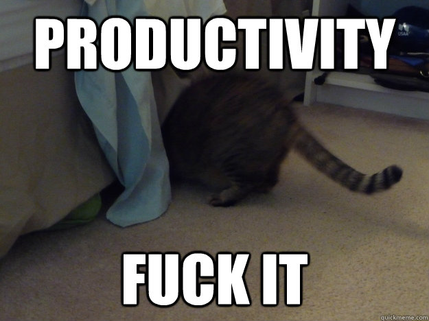 productivity fuck it - Cat under bed - quickmeme