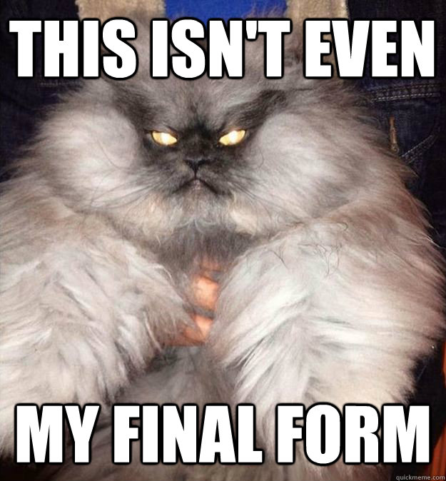 THIS ISN'T EVEN MY FINAL FORM - Misc - quickmeme